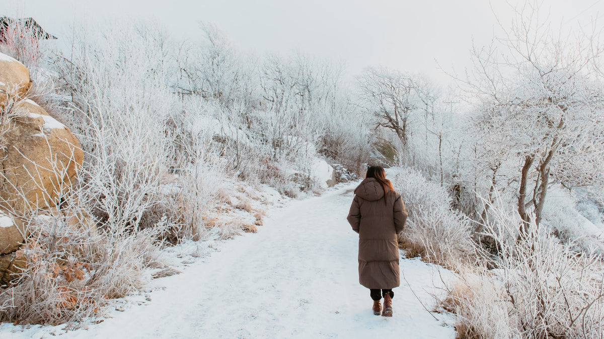 Step Count Science: The Hidden Health Benefits of Winter Walking– The ...