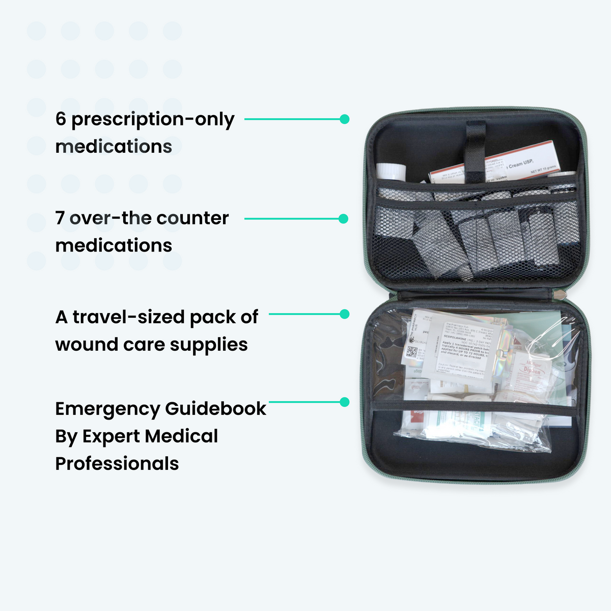 Travel Emergency Kit– The Wellness Company