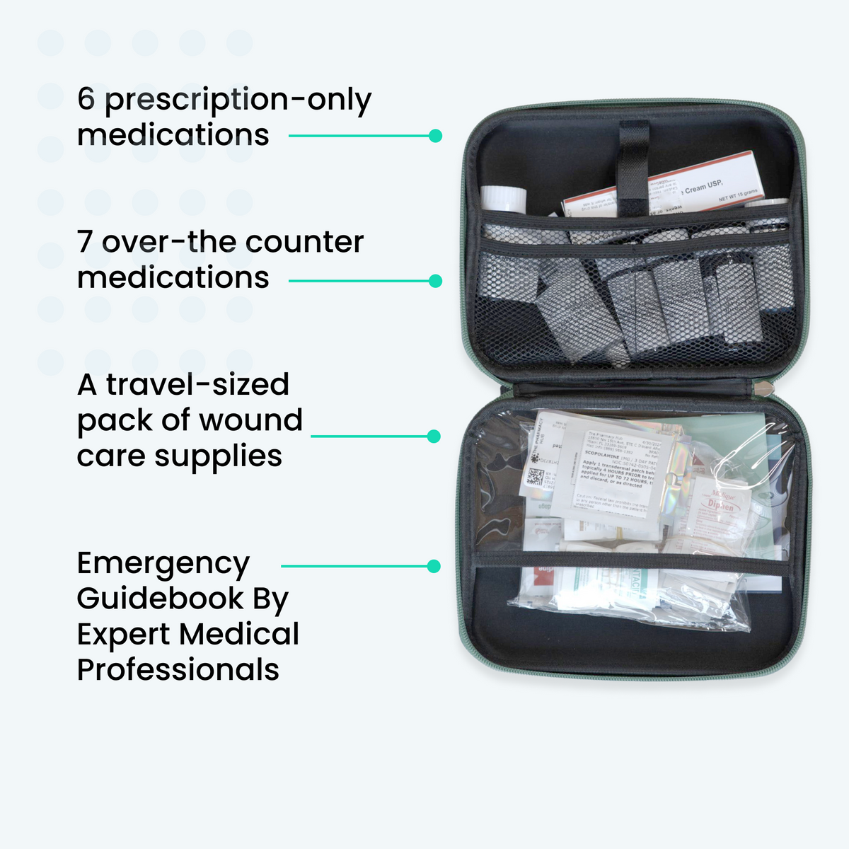 Travel Emergency Kit– The Wellness Company