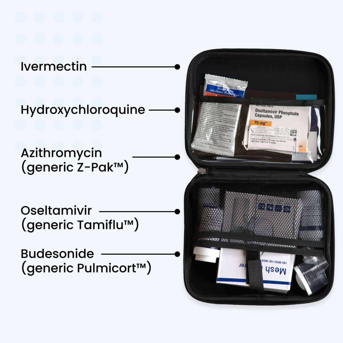 Contagion Emergency Kit– The Wellness Company