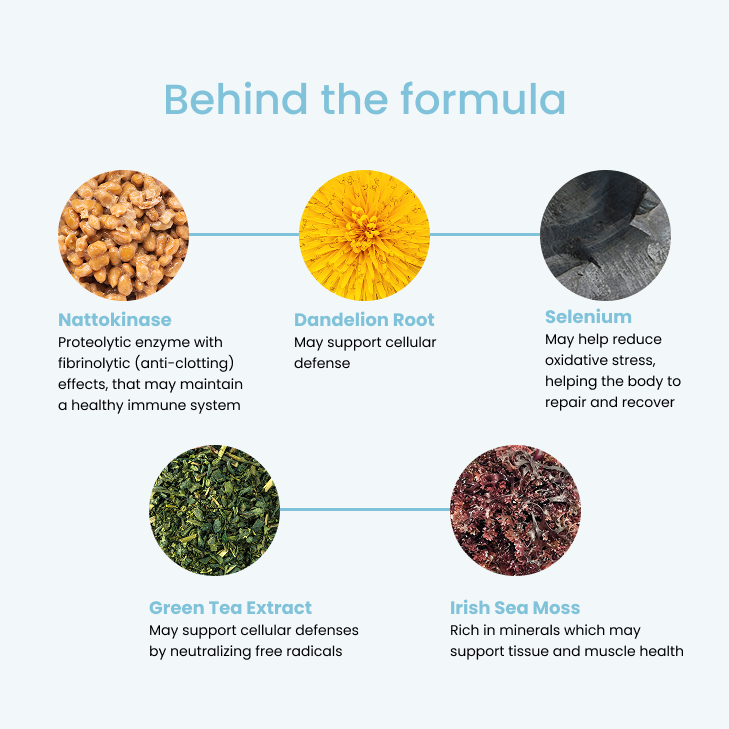 Spike Support– The Wellness Company