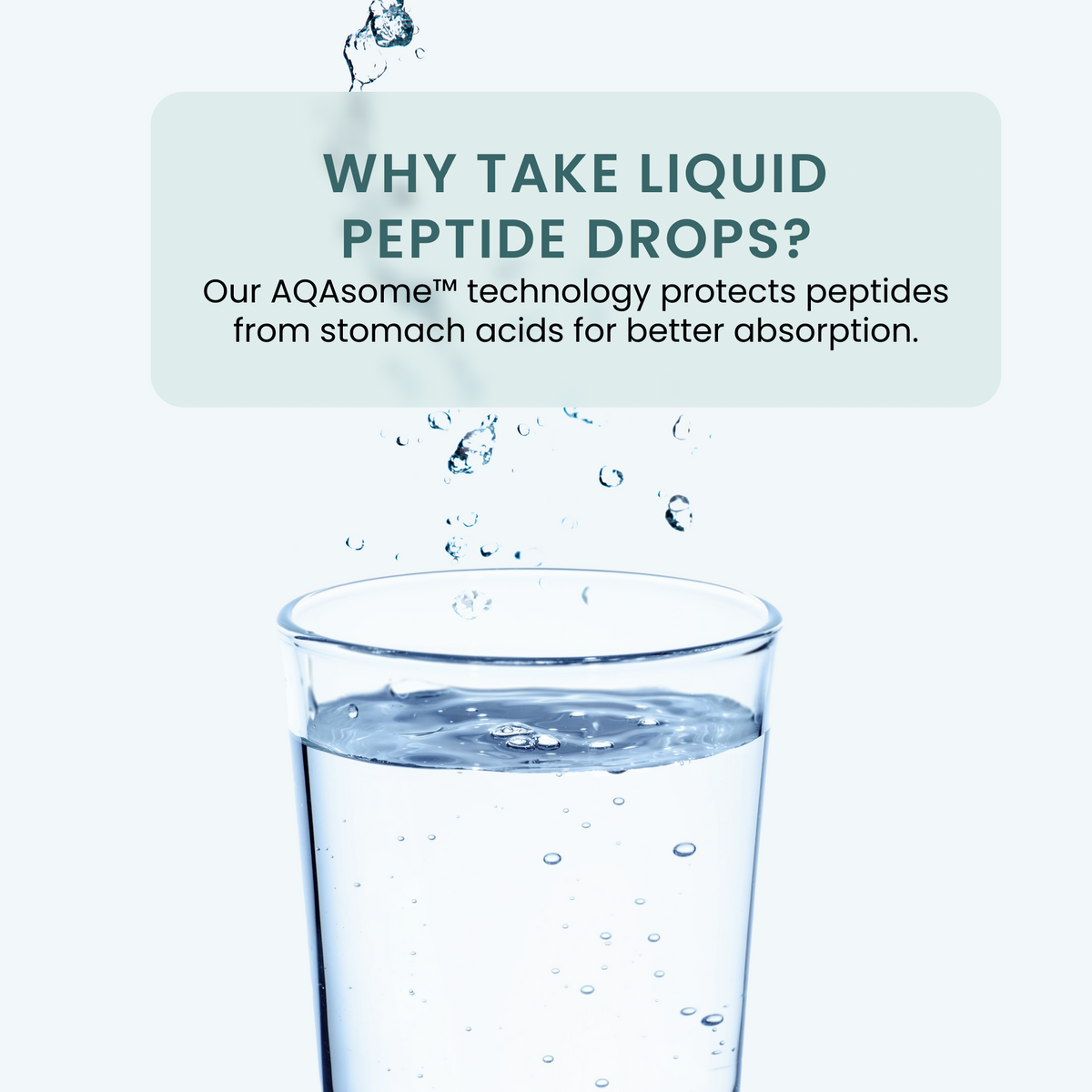 Drop– The Wellness Company