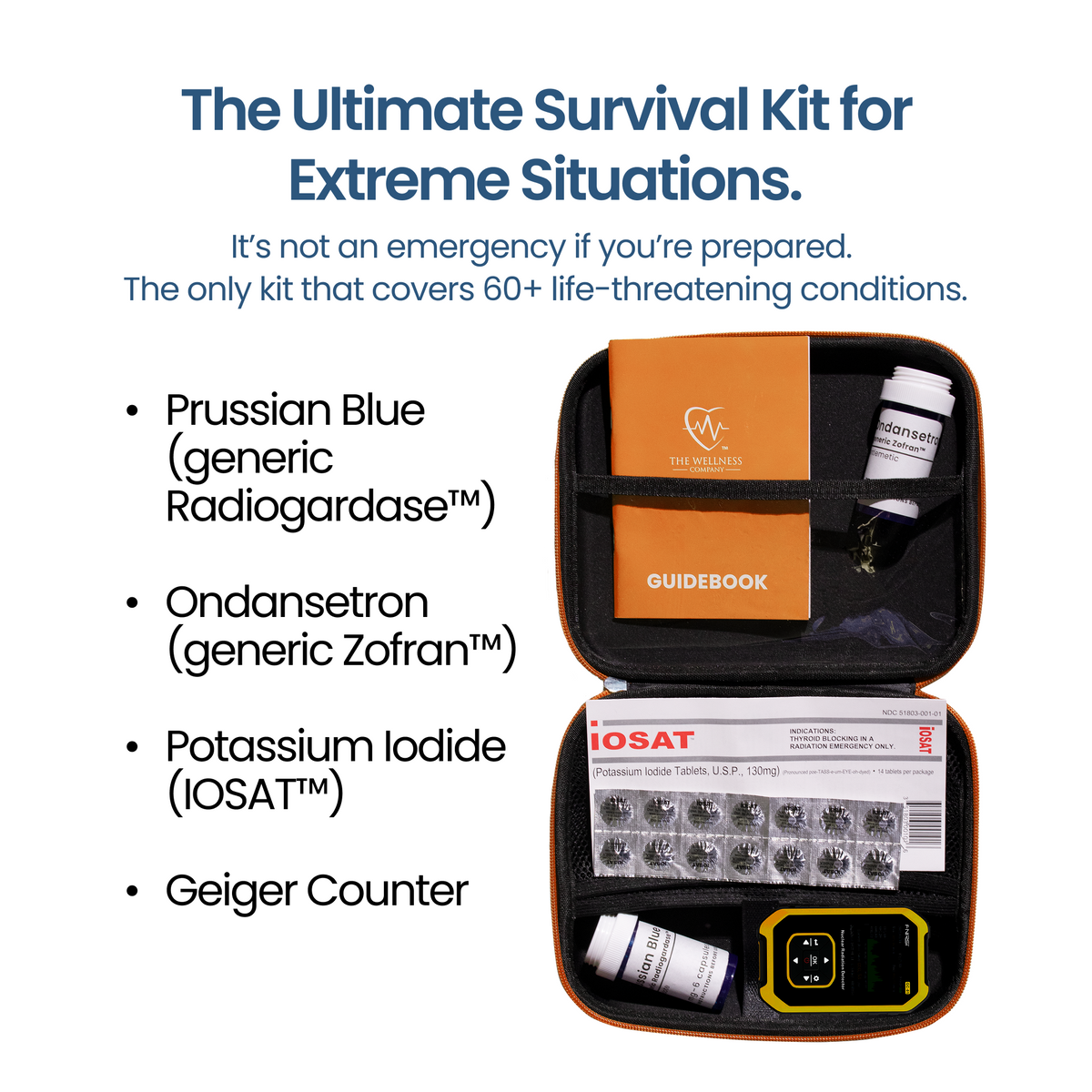Radiation Emergency Kit– The Wellness Company