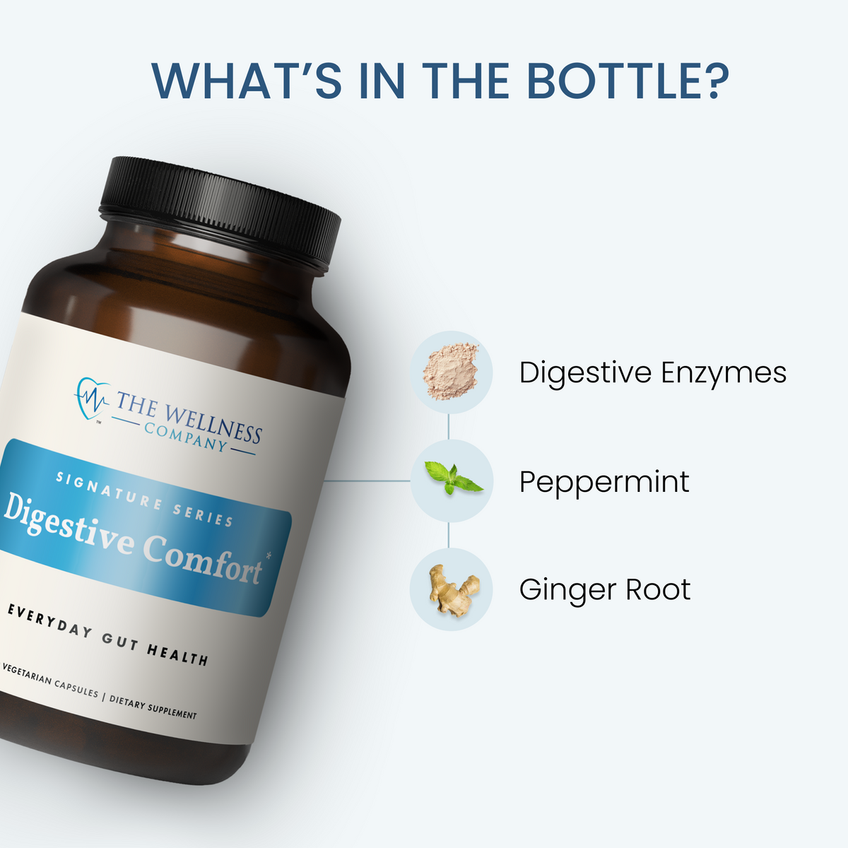 Digestive Comfort– The Wellness Company